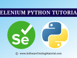 Javascript Executor In Selenium Python