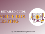 What Is White Box Testing And Its Types With Examples