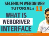 Selenium Webdriver Tutorial 11 Software Testing Mentor