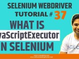 Selenium Webdriver Tutorial 37 What Is Javascriptexecutor In Selenium