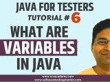 Java For Testers 6 What Are Variables In Java Variable Types