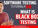 Software Testing 18 Software Testing Mentor