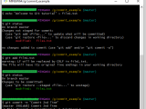 Git Commit Command List