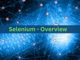 Selenium Overview Software Testing Stuff