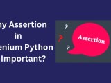 Assertion In Selenium Python A Guide On Assertions In Selenium