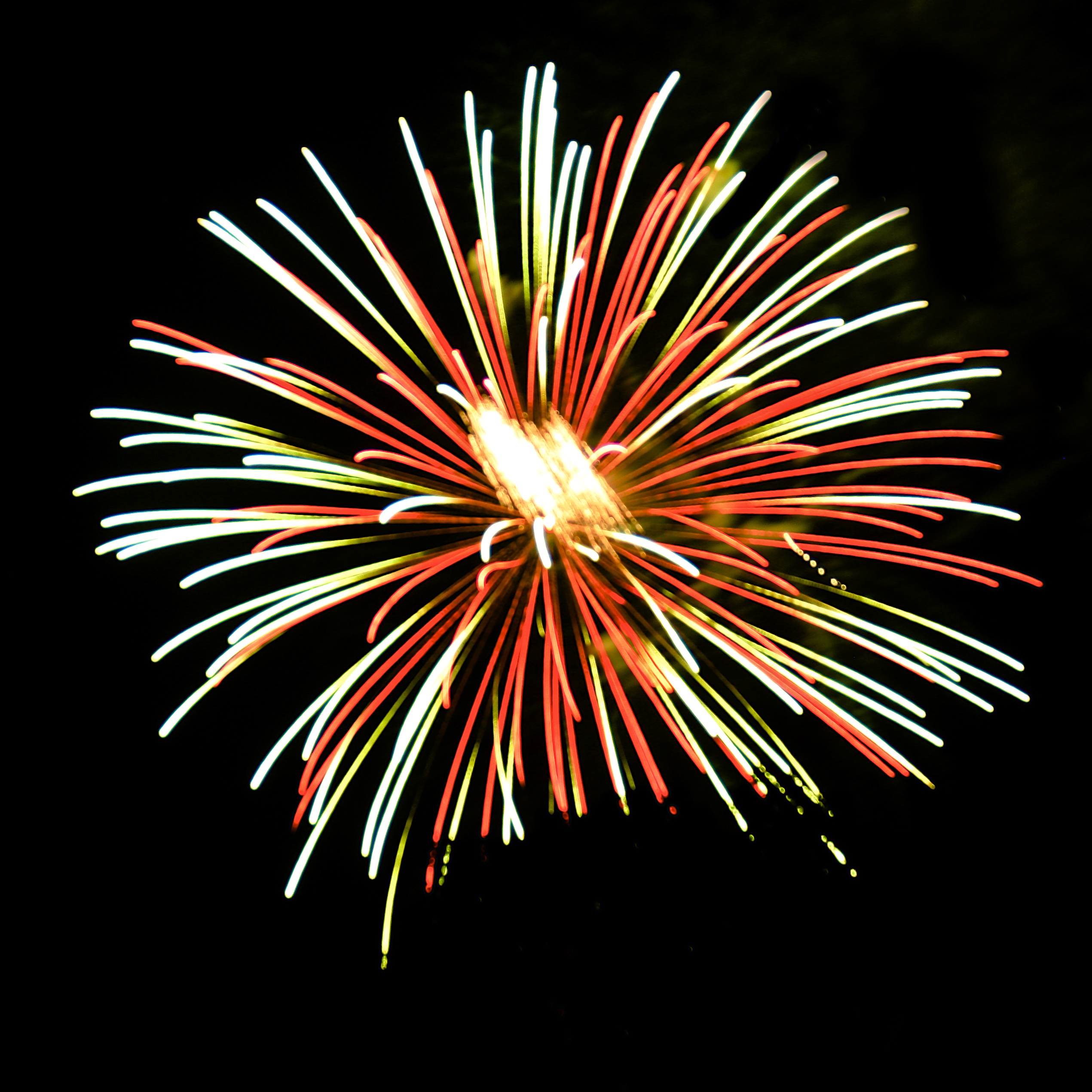 How to Take Photos of Fireworks - "So, I've been thinking..."