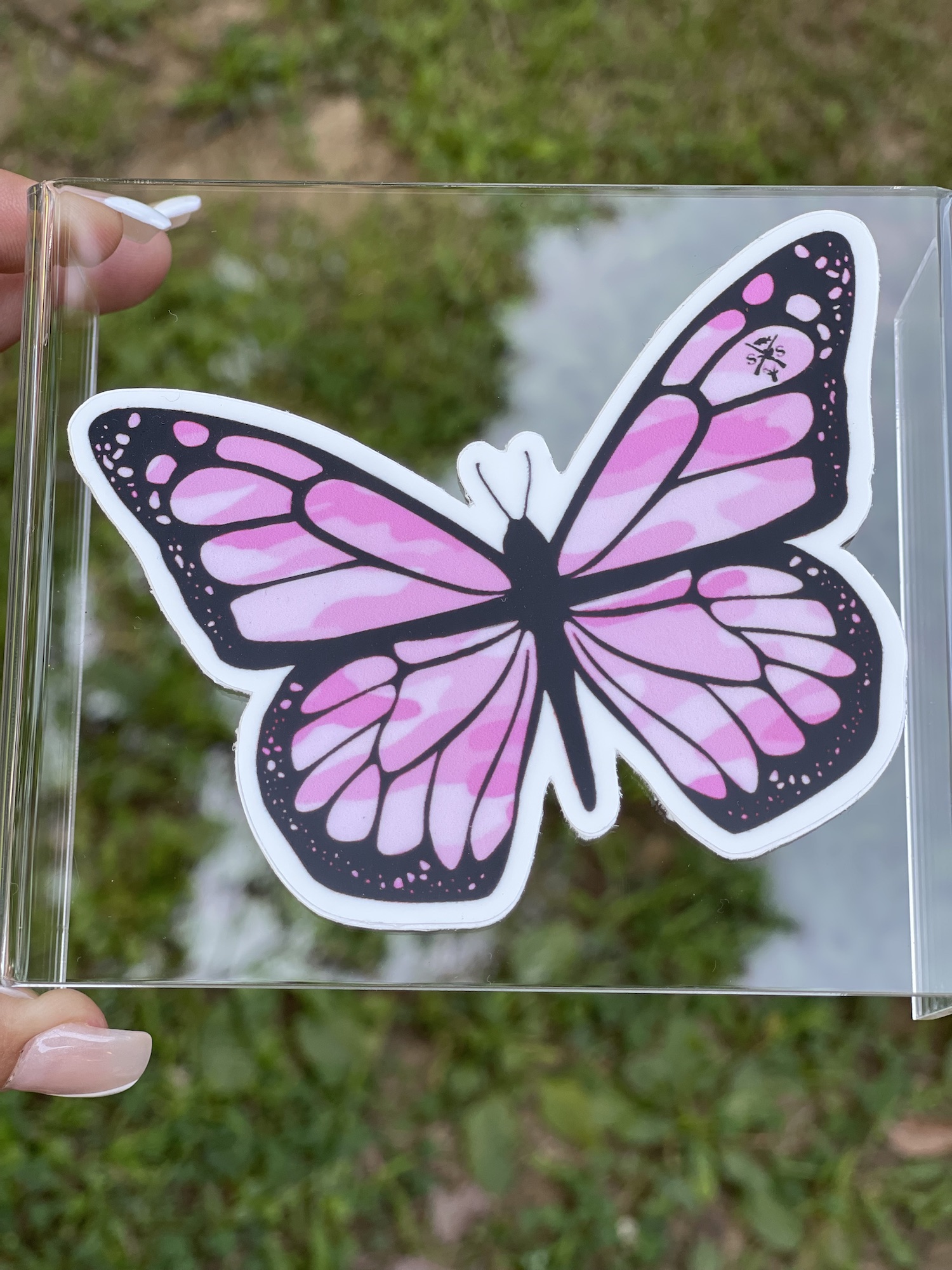 Pink Butterfly Sticker - Sophie Swaney