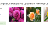Angularjs Multiple File Upload With Php Mysqli Sourcecodester