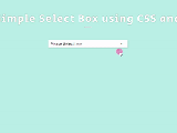 Creating A Custom Select Box Using Css And Javascript Tutorial