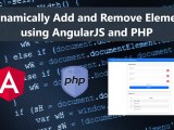 Dynamically Add And Remove Element Using Angularjs And Php Tutorial