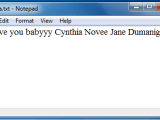 How To Write Data To A Text File Using Binarywriter In Vb Net