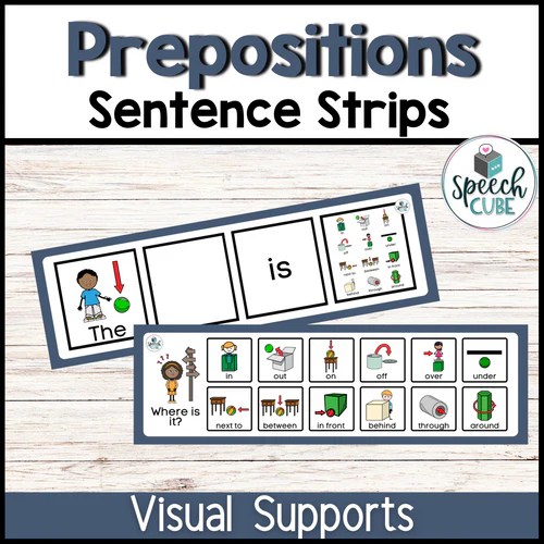 Visual Supports Speech Cube