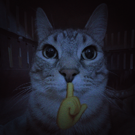 Neighbours From Hell плюс Levels Speedrun