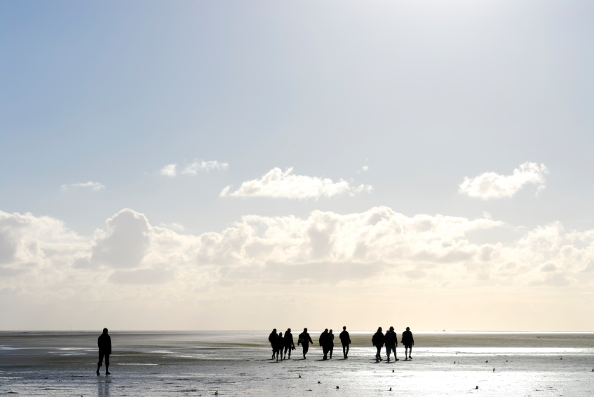 Welkom bij Springtij - Springtij, compass for the green voyage