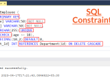 Sql Constraints