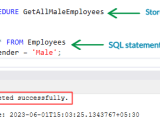 Sql Store Procedure