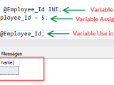 Sql Variables