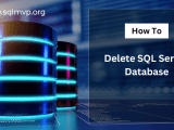 Delete Sql Server Database Easily Using Top Methods