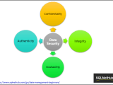 What Is Data Security And Which Are Its Main Characteristics Sqlnethub