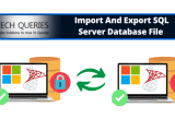 How To Import And Export Sql Server Database