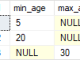 Sql Server Isnull Function