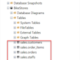 Sql Server Roles