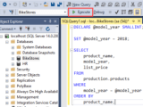 Variables In Sql Server Stored Procedures