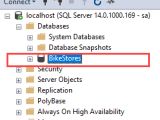Load Sql Server Sample Database