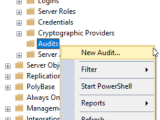 Sql Server Audit Feature Components