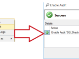 Sql Server Audit Feature Components