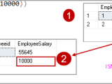 Sql Isnull Function