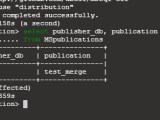 Sql Server Merge Replication On Linux