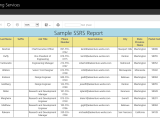 Configure Sql Server Reporting Services Databases In Sql Server Always