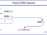 Oracle Exp Function