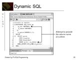 Oracle Dynamic Sql