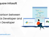 Comparison Between Node Js Developer And Python Developer