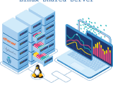 Squarenet Reliable Affordable Shared Hosting Services