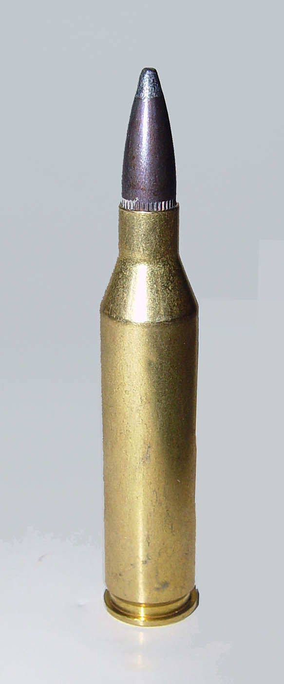 The versatile .243 Winchester - Sporting Shooters' Association of ...