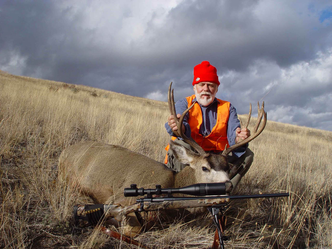 The versatile .243 Winchester - Sporting Shooters' Association of ...