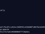 Install Docker On A Vps Simple Step By Step Tutorial Ssd Nodes