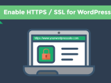 How To Enable Https For Wordpress Force Ssl To Https