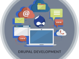 Drupal Development Services For Scalable And Secure Websites
