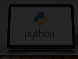 Hire Python Developers Sstech System