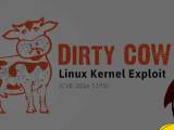 Aprende A Proteger Tu Servidor Linux De Dirty Cow Stackscale