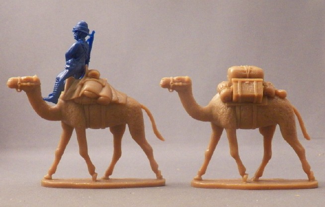 AIP Camel Corps - Stad's StuffStad's Stuff
