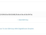 Startutorial Ssh Basics Part 2 Login To Cloud Server