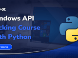 Windows Api Hacking Course With Python