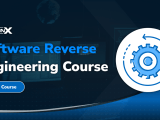 Software Reverse Engineering Course