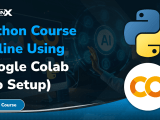 Python Course Online Using Google Colab No Setup