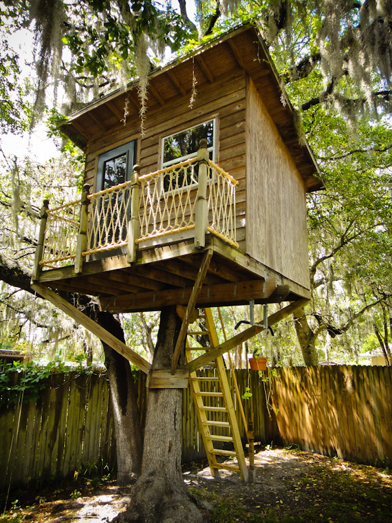 Treehouse Updates